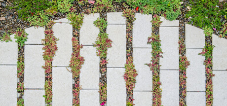 Rasenfugensteine | Produkte | Metten Stein+Design